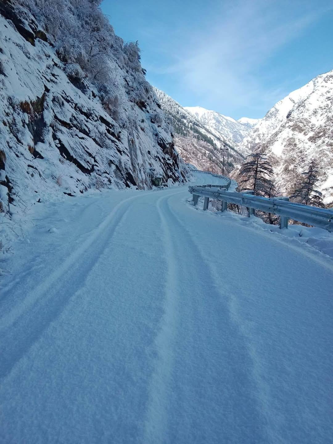 Snowfall In Himachal: Updates, Forecast And More In 2025